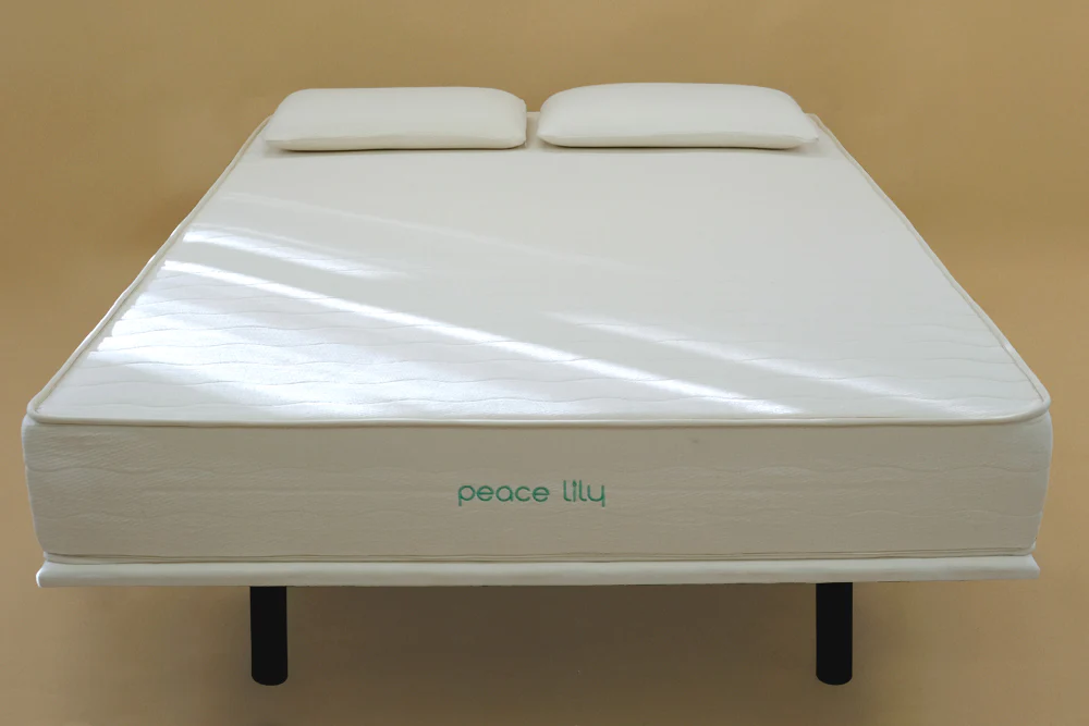 Peace Lily Hybrid Mattress Review (in 2025) Peace Lily Hybrid Mattress Review (in 2025)